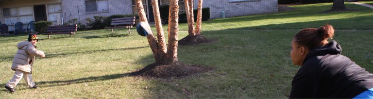 Northern Virginia Family Service - Nonprofit Organization