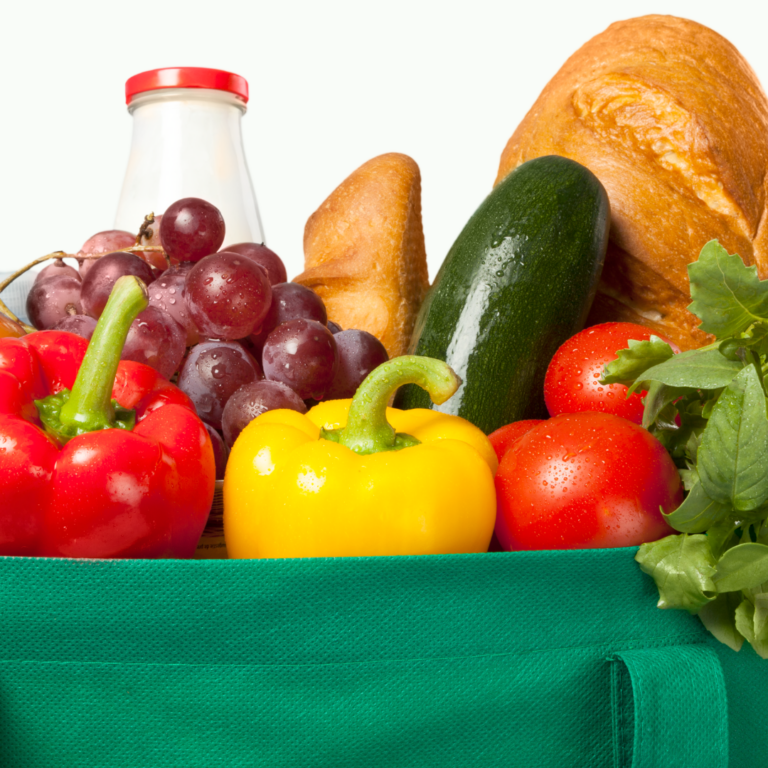 The Link Between Food Insecurity and Health: A Closer Look at Northern ...